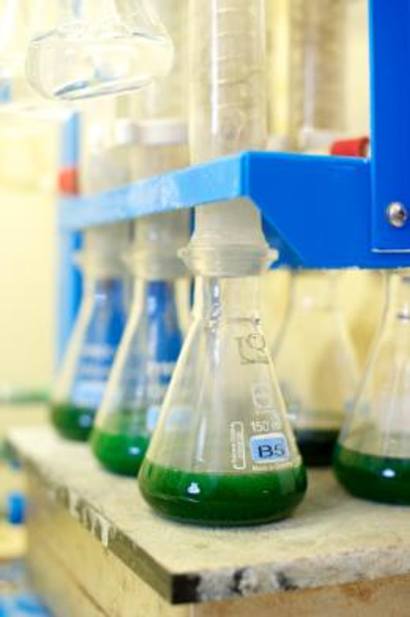 Acid sulfate soil testing and acid rock testing - Southern Cross University