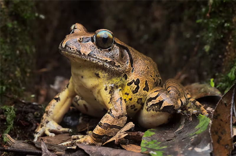 Science and Engineering - Southern Cross University